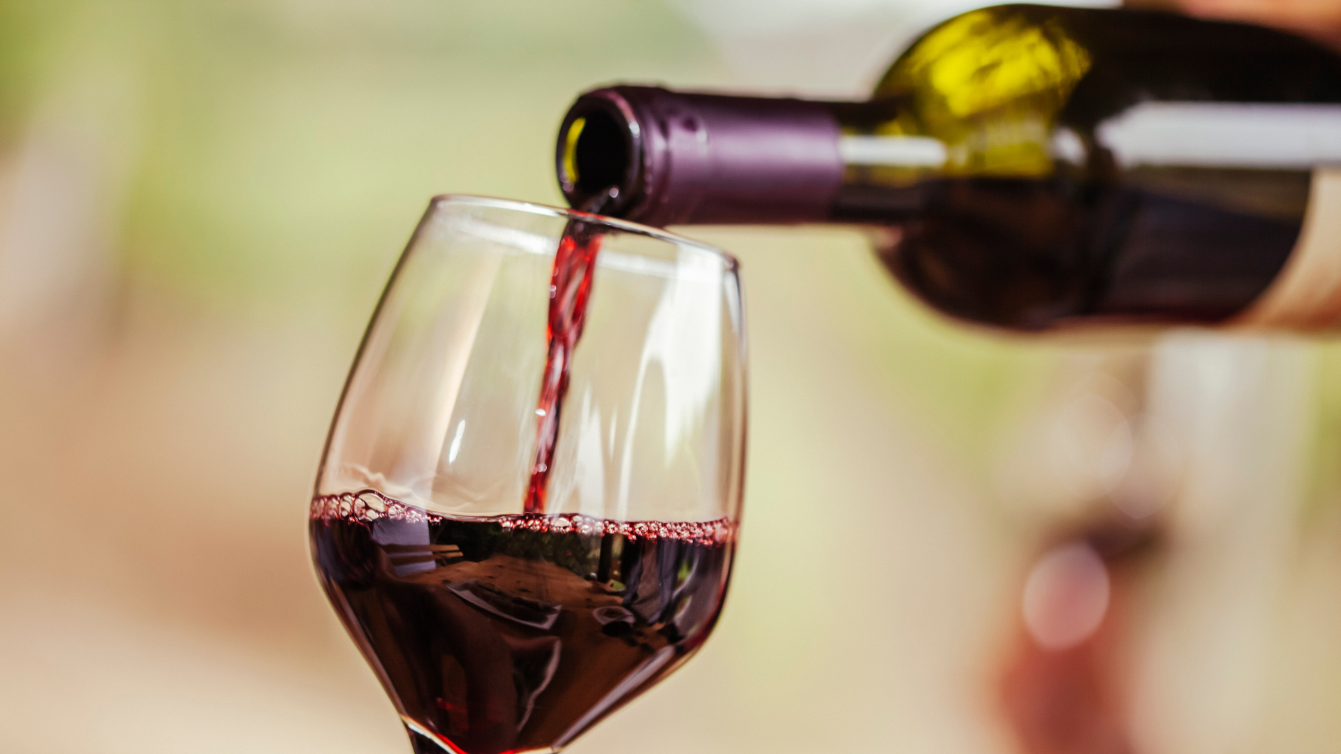 Les 6 Principaux Cépages des Vins Rouges du Sud-Ouest